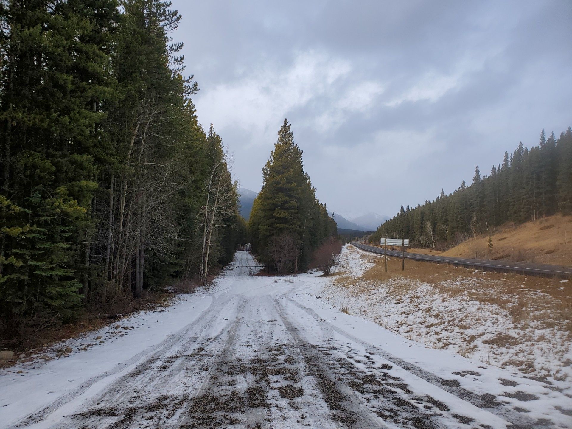 Eastern slope defenders rally to stop Highwood logging ...