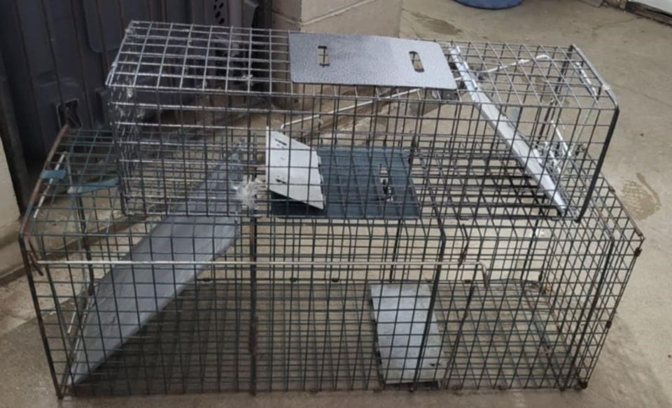 Shelter Manager shares on the proper use of cat traps: Weyburn Humane ...