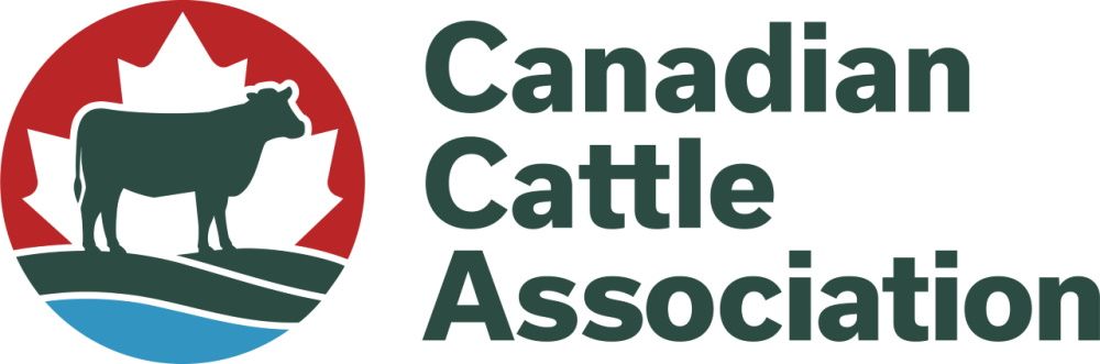 CCA launches new brand identity - PortageOnline.com - Local news ...