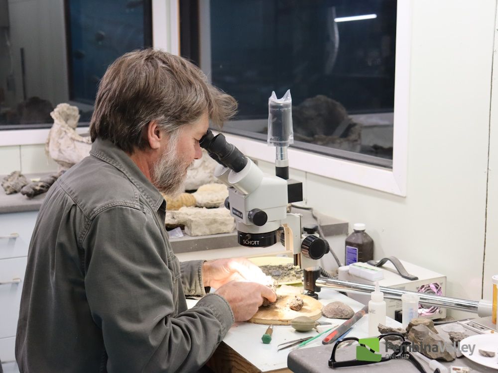 CFDC's new mosasaur is taking shape - PembinaValleyOnline.com - Local ...