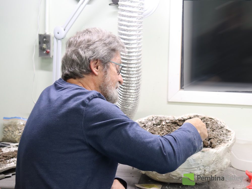 CFDC's new mosasaur is taking shape - PembinaValleyOnline.com - Local ...