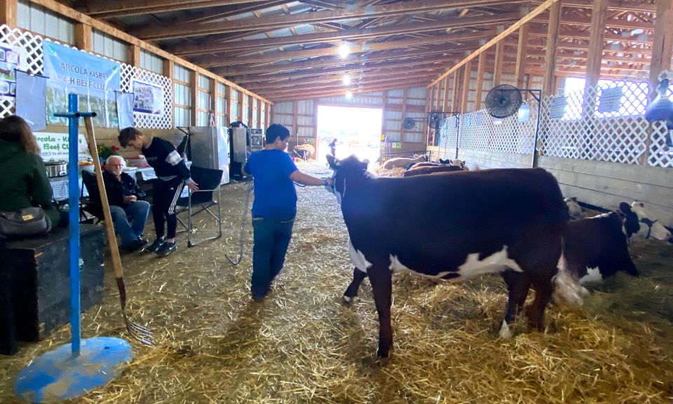 Bombastic action at Beechy Western Days - WestCentralOnline: West ...