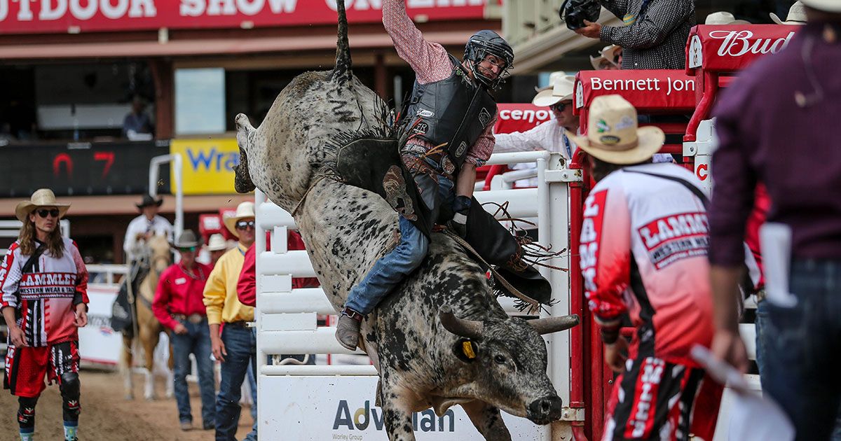 Top 5 MUST DO's at the Calgary Stampede - CochraneNow: Cochrane ...