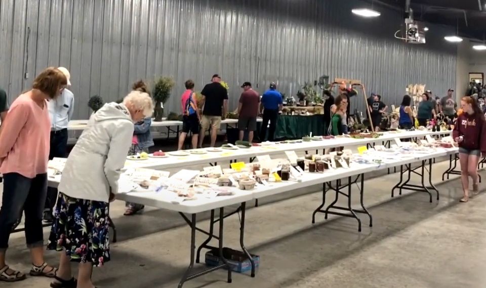 Biggest Little Fair in Saskatchewan is back this Saturday in Creelman ...