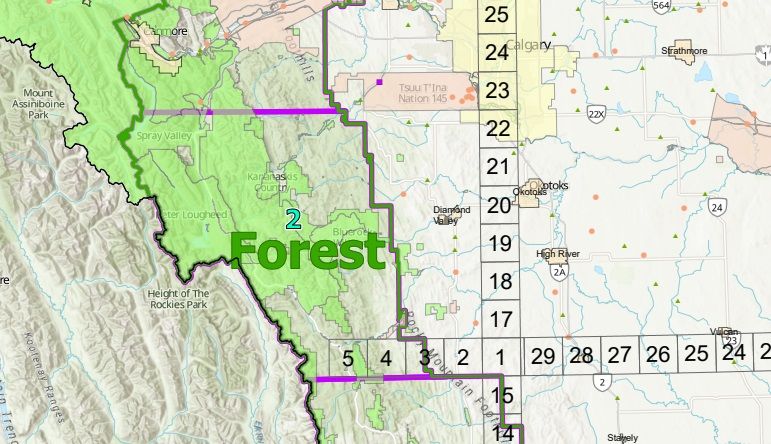 Cutting down your own Christmas tree: what you need to know ...