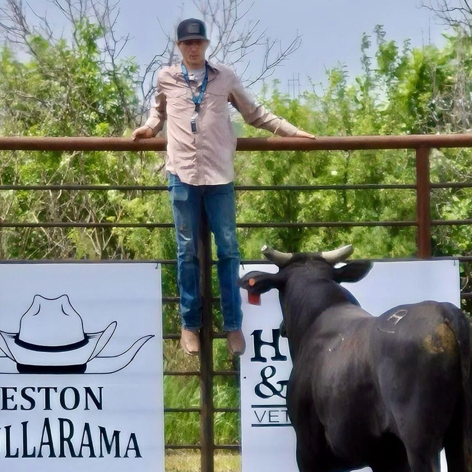 Eston gearing up for two days of bull riding, sports, and family fun ...