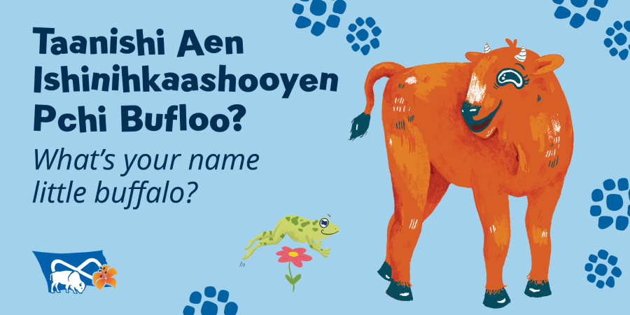What's Your Name, Little Buffalo?- Métis youth invited to name new ...