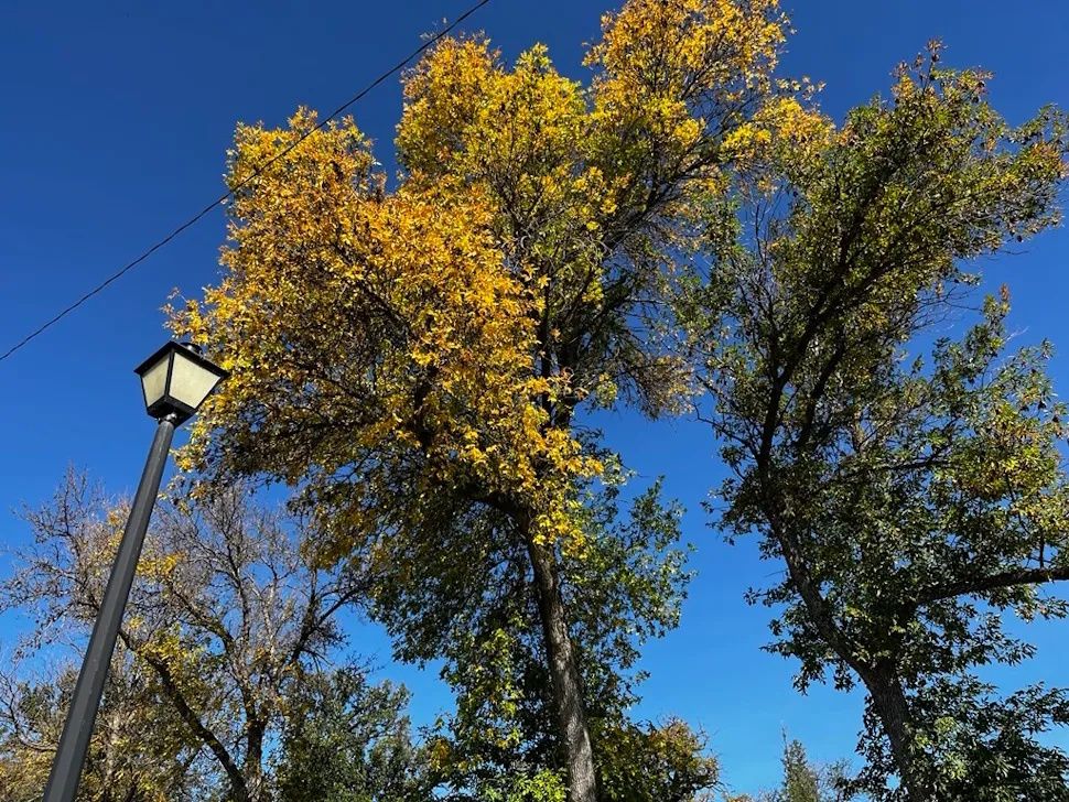 Fall starts off on a warm note in Westman - DiscoverWestman.com - Local ...