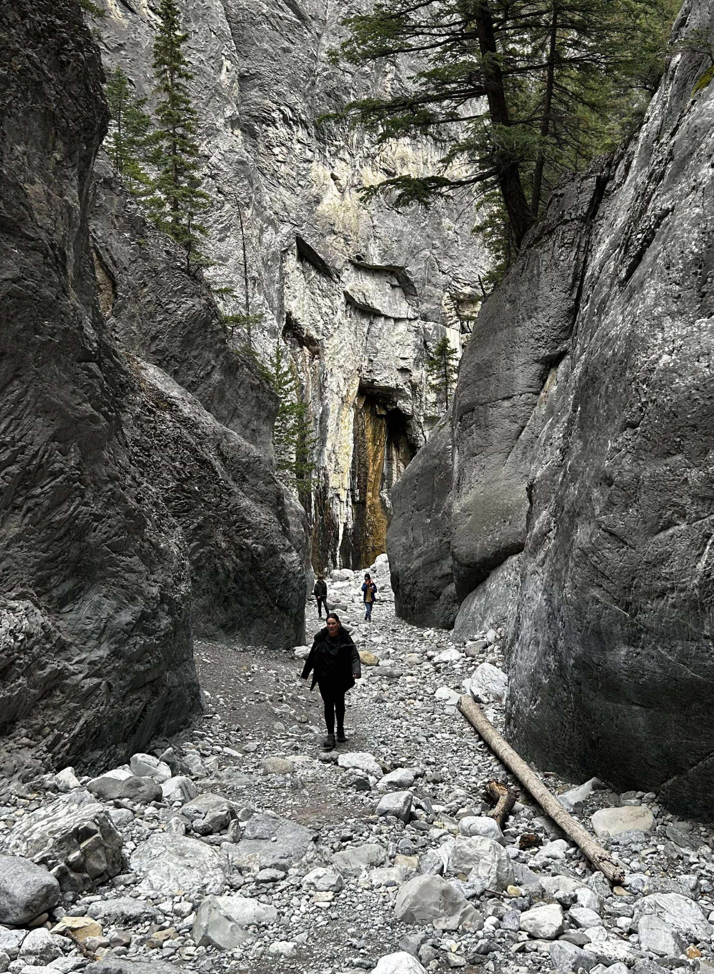 National Take a Hike Day: Three easy hikes I’ll actually do near ...