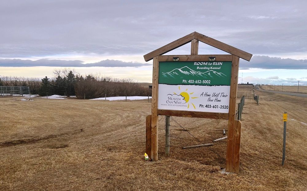 Diving into the heart of Kim Hessel and Heaven Can Wait Animal Rescue ...