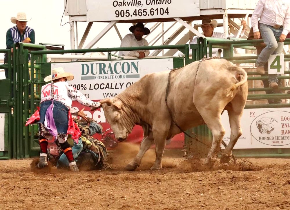 Partner Profile: Three days of rodeo excitement coming at the 38th ...