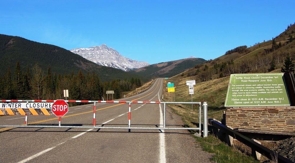 Last weekend for cyclists to enjoy Hwy 40 to themselves - OkotoksOnline ...