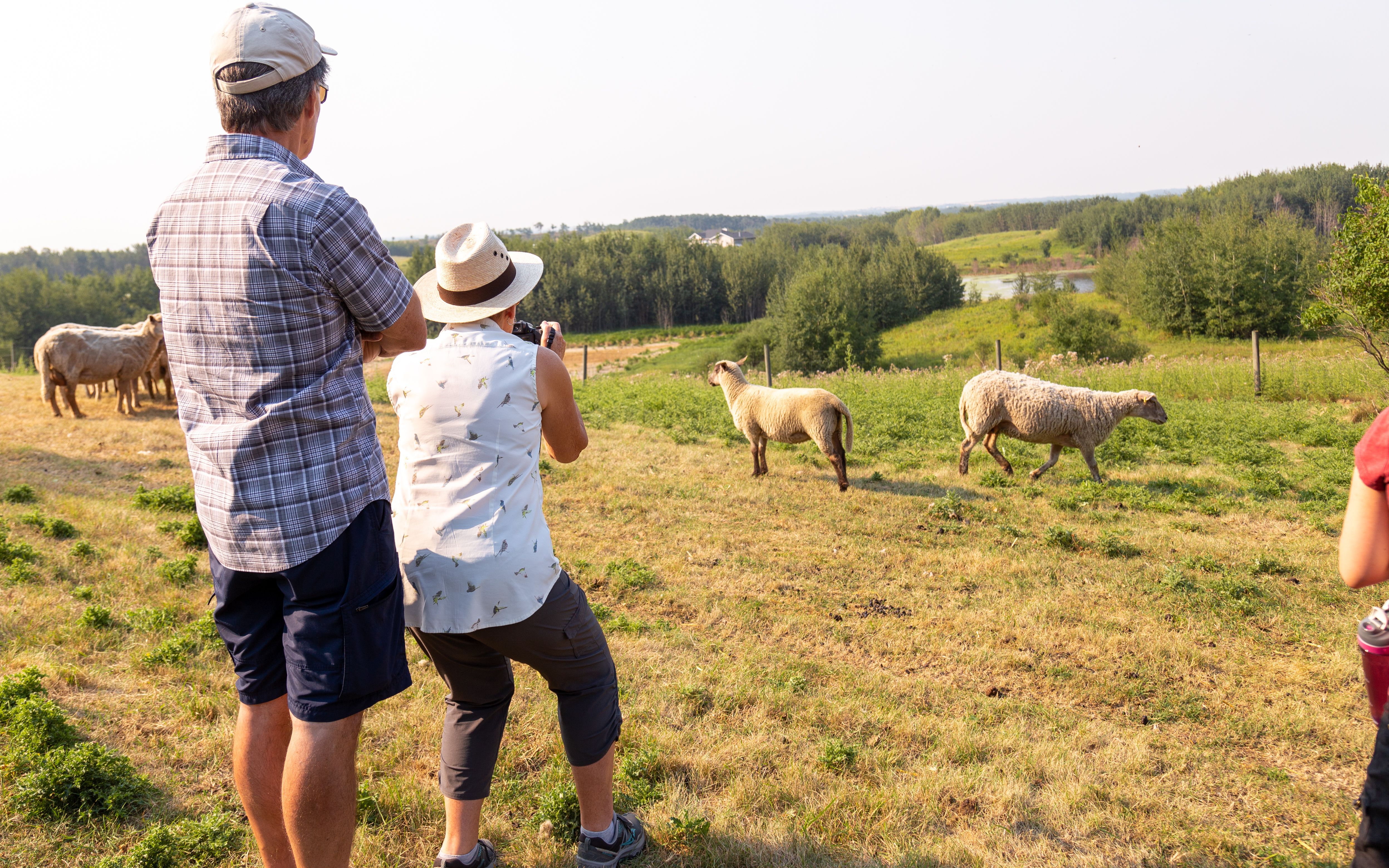 Here is your chance to see how farms work around Alberta ...
