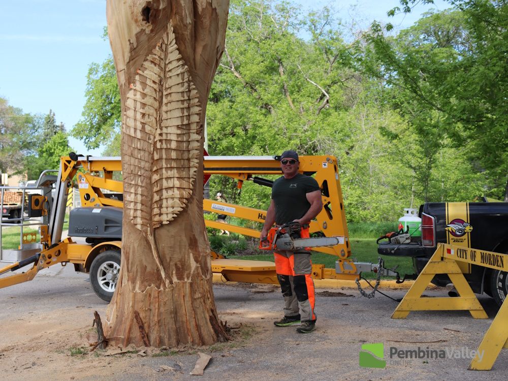 Local chainsaw carver turns ancient Elm trunk into beautiful new ...