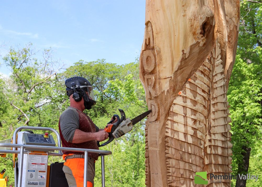 Local chainsaw carver turns ancient Elm trunk into beautiful new ...