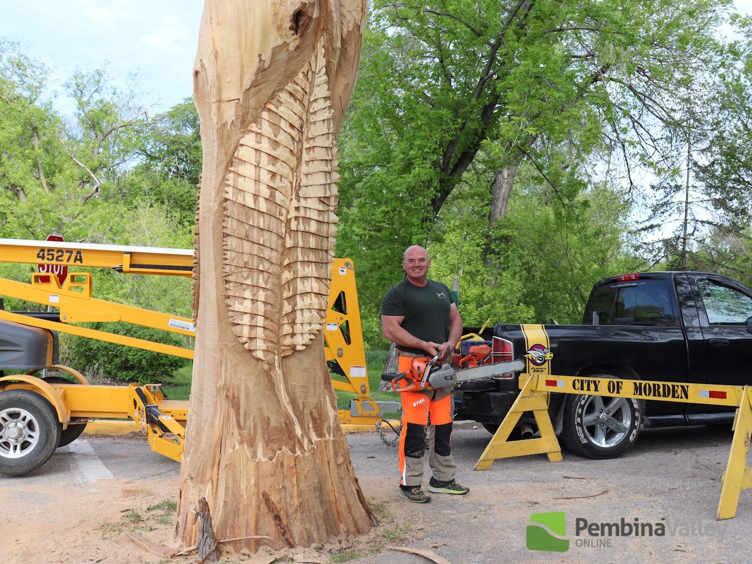 Eagle takes flight as chainsaw carver nears completion of piece at ...
