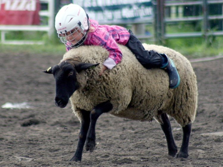 Fun for all at Police Rodeo for a great cause - CochraneNow: Cochrane ...