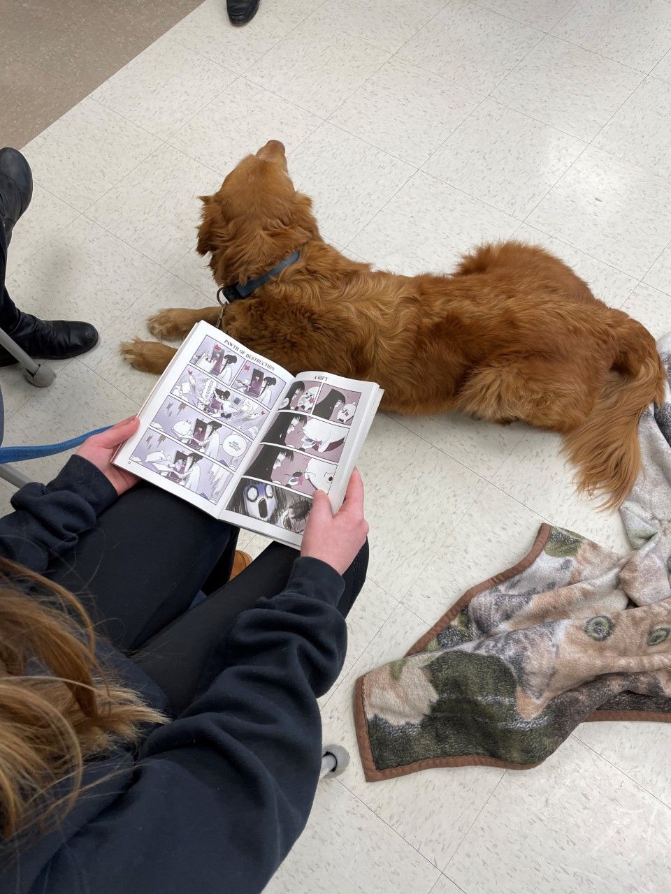 Program lets students practice reading aloud to dogs - OkotoksOnline ...