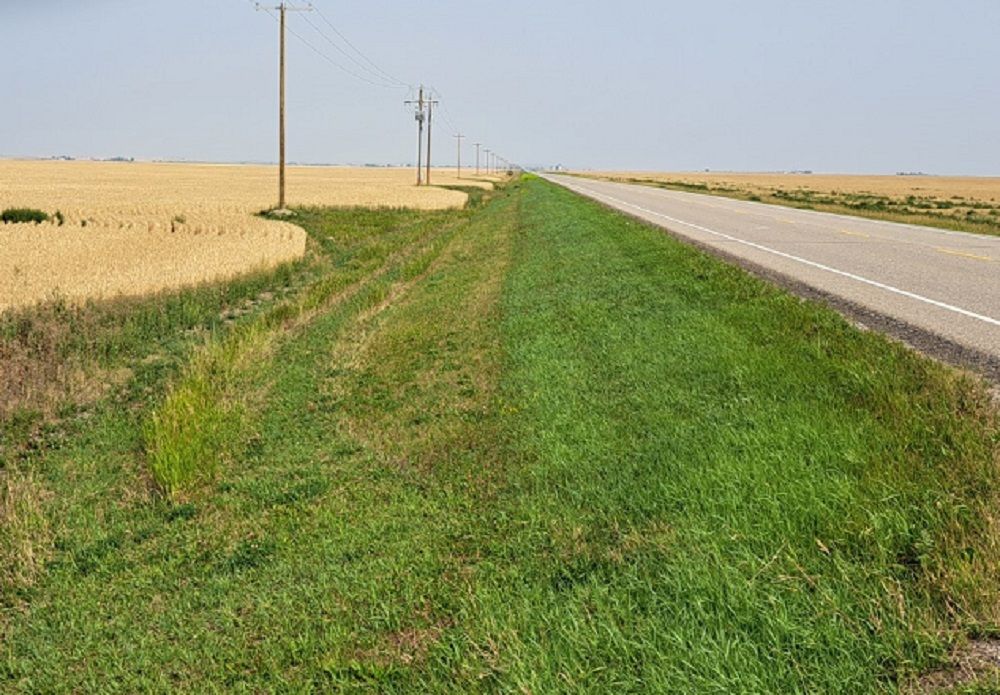 Pheasants Forever wants to save ditches and rights-of-way ...