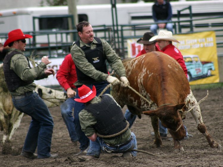 Police Rodeo celebrating 40 years of thrills and charity - CochraneNow ...