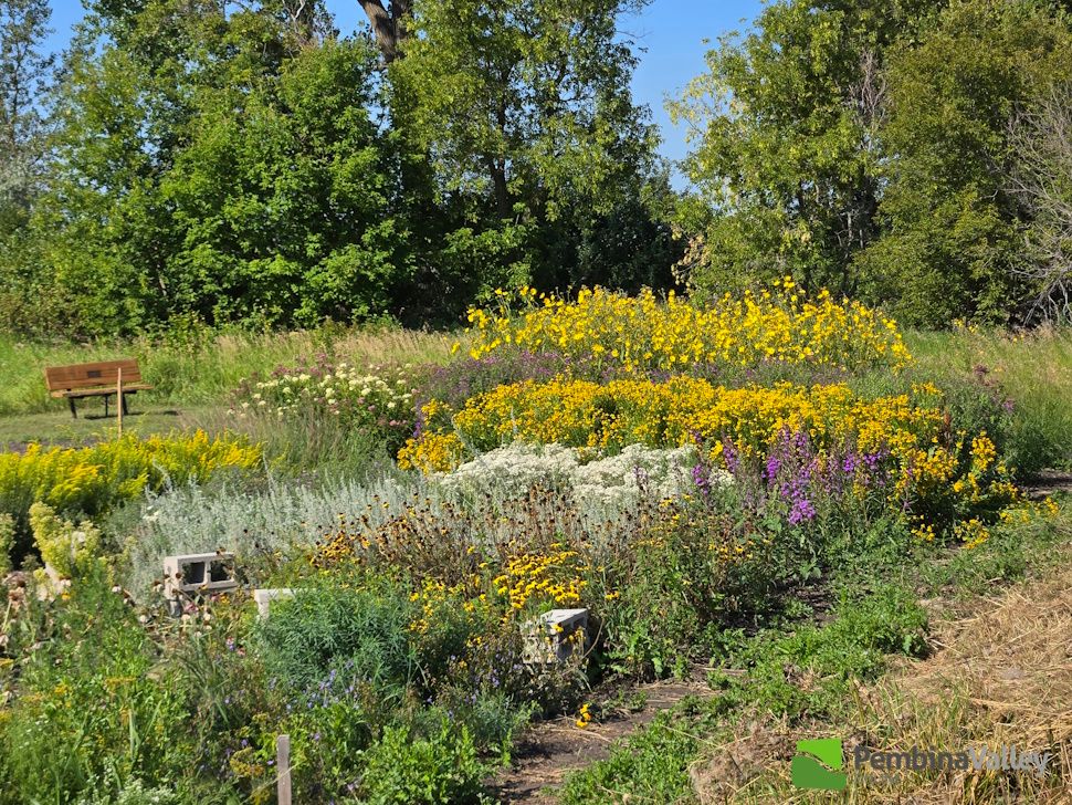 Here’s why it’s a good time to remember that pollinator gardens still ...