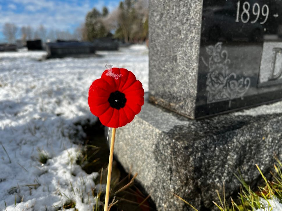 Poppy Campaign underway across Central Alberta - CentralAlbertaOnline ...