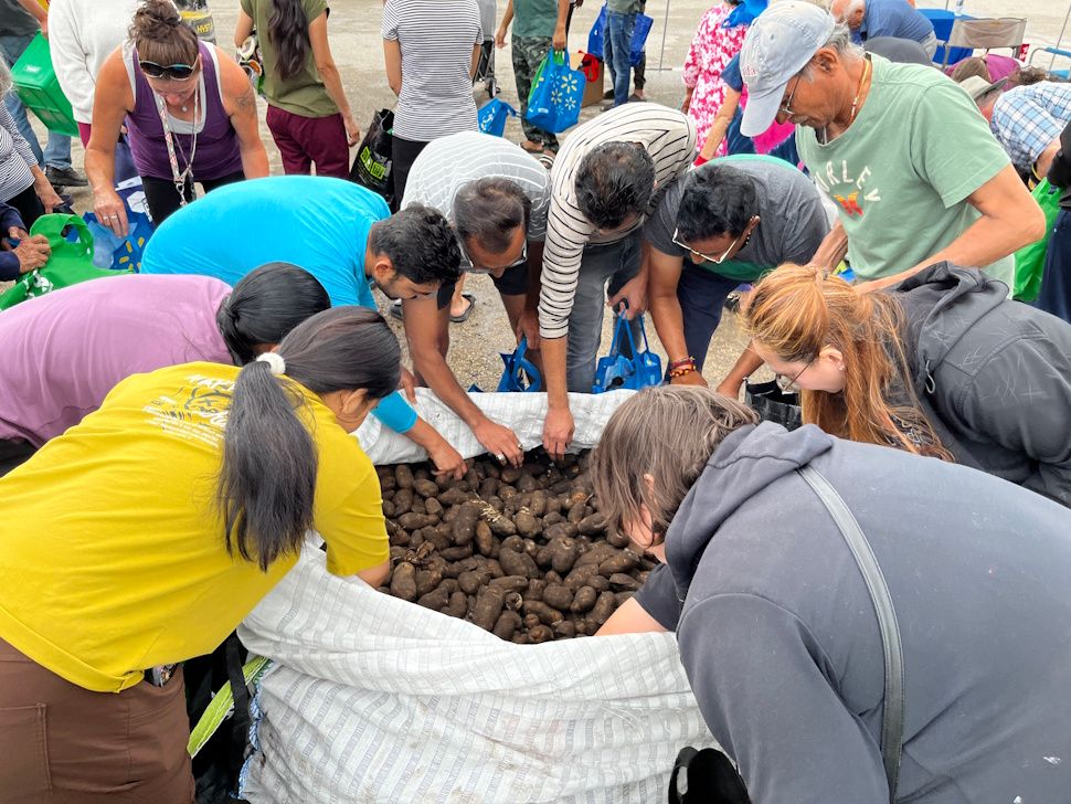 Spud-tacular surprise feeds the community - PortageOnline.com - Local ...