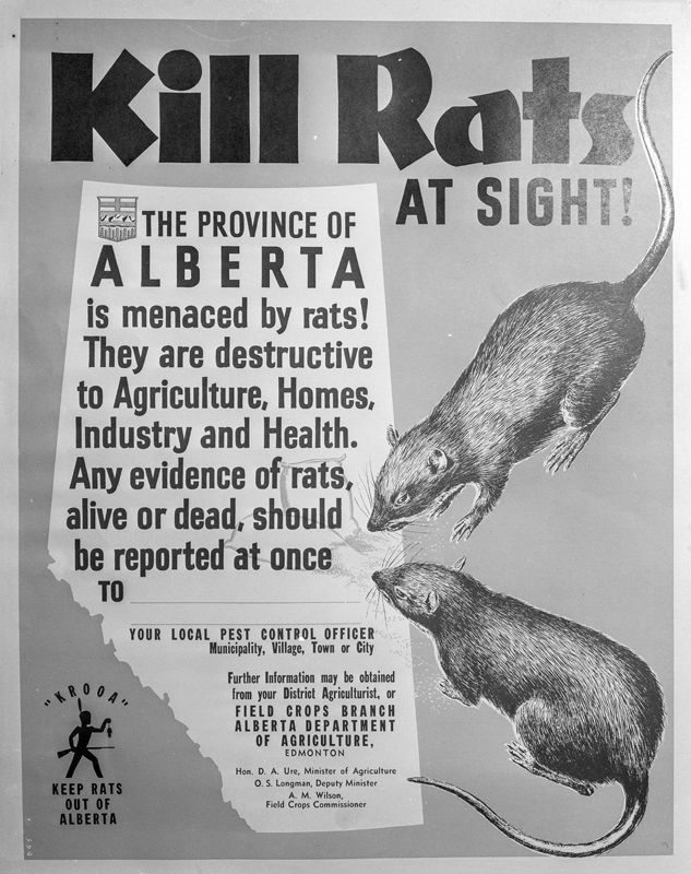 Provincial Ag Minister and Foothills MLA celebrating Alberta being rat ...