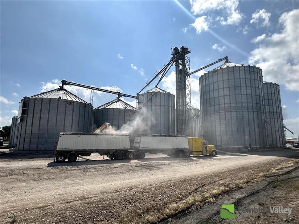 Southern Manitoba farmers anticipate bumper crop - PembinaValleyOnline ...