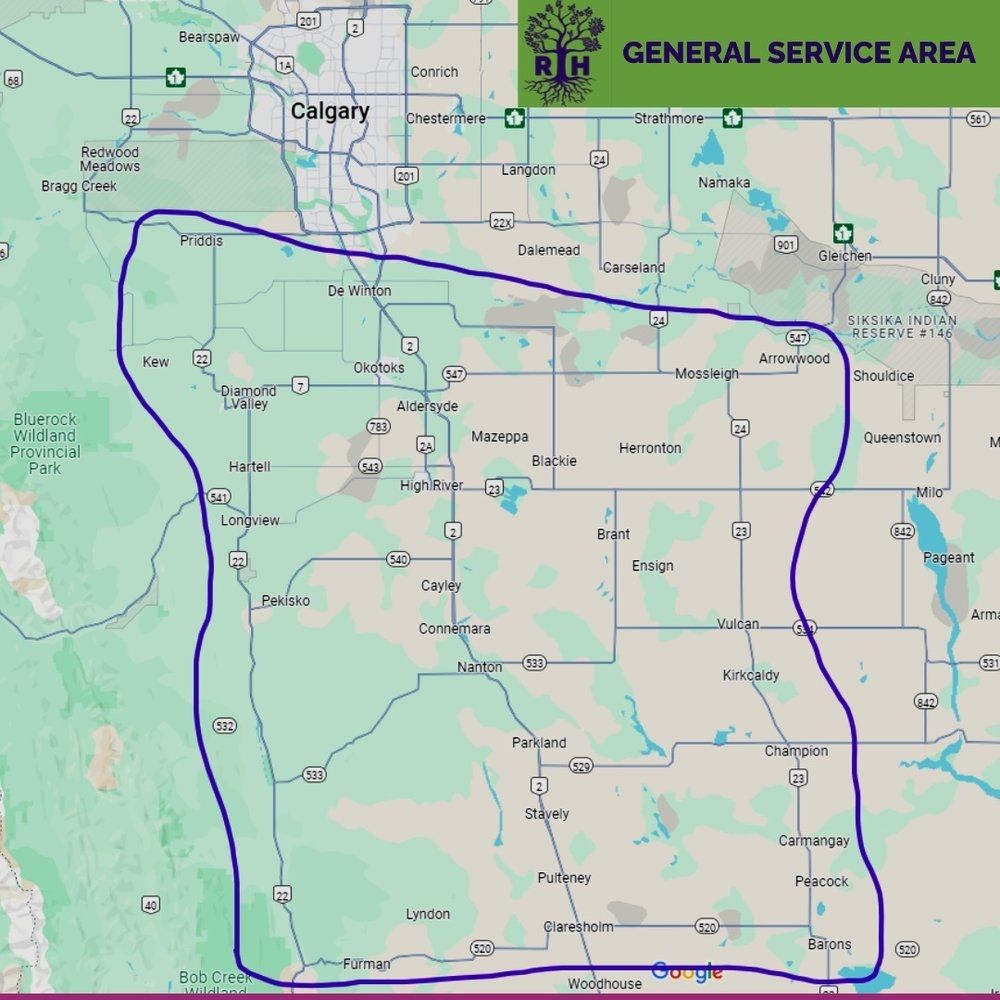 Rowan House Society's radiothon is just a day away - HighRiverOnline ...