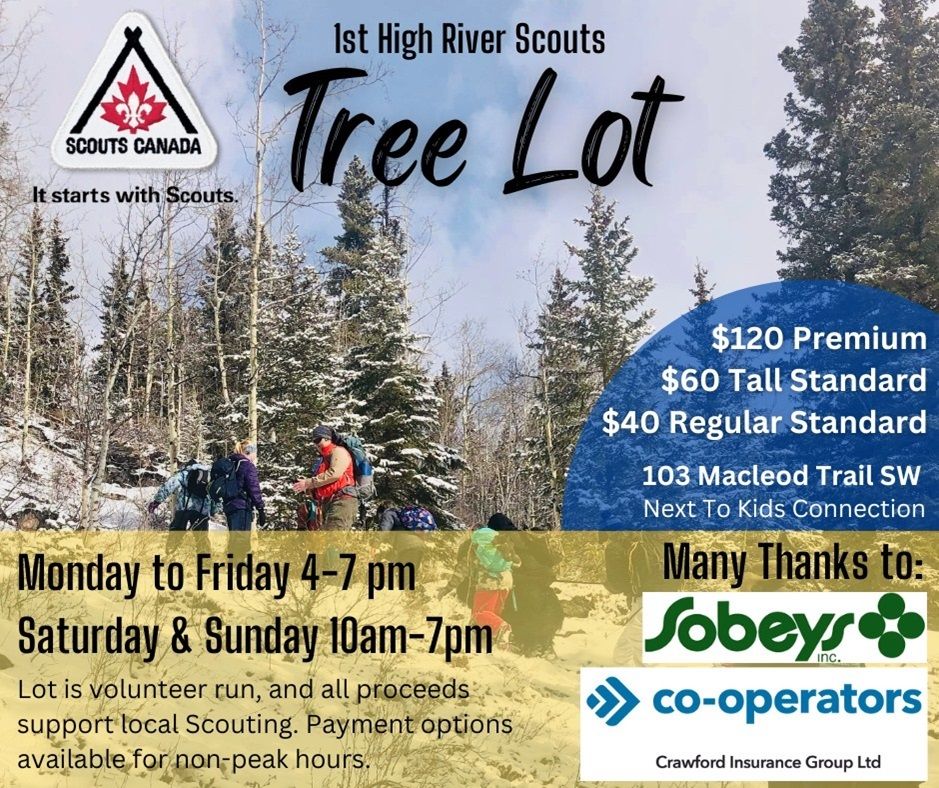 High River Scouts have your Christmas tree needs covered ...