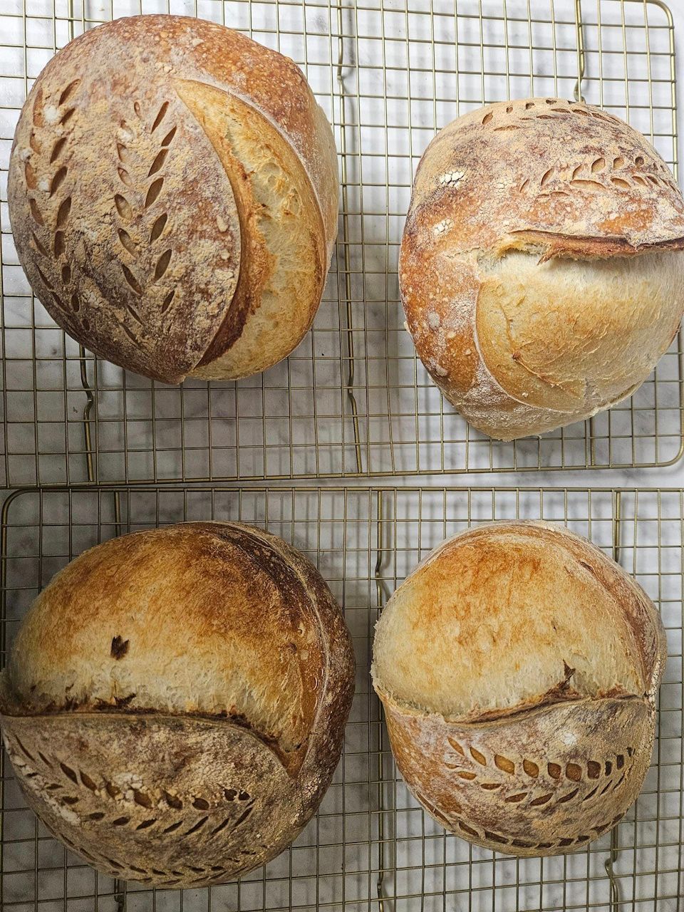 The chewy, tasty learning curve of baking sourdough bread: Weyburn ...