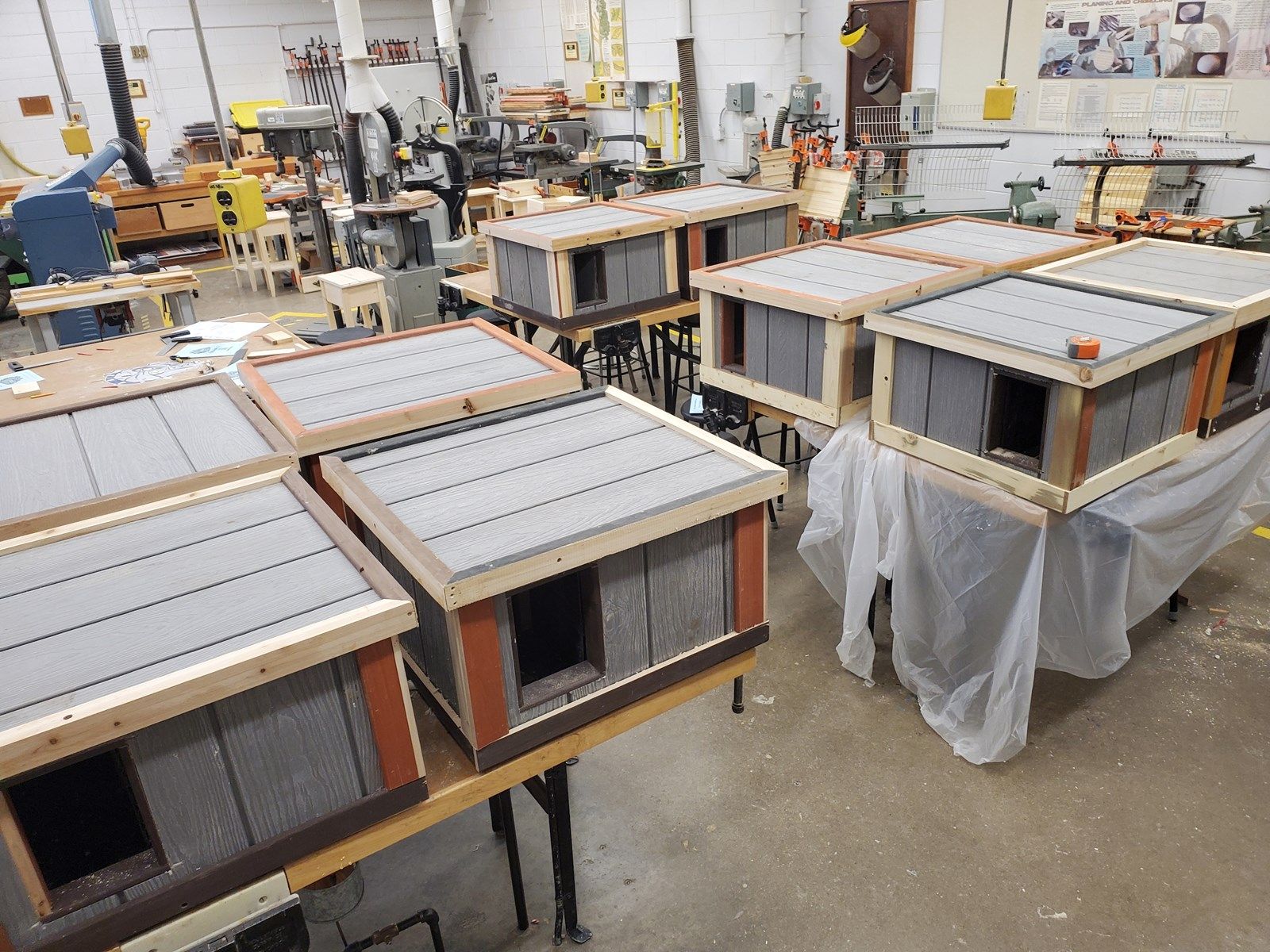 Winnipeg students build shelters for stray cats - Classic107: Winnipeg ...