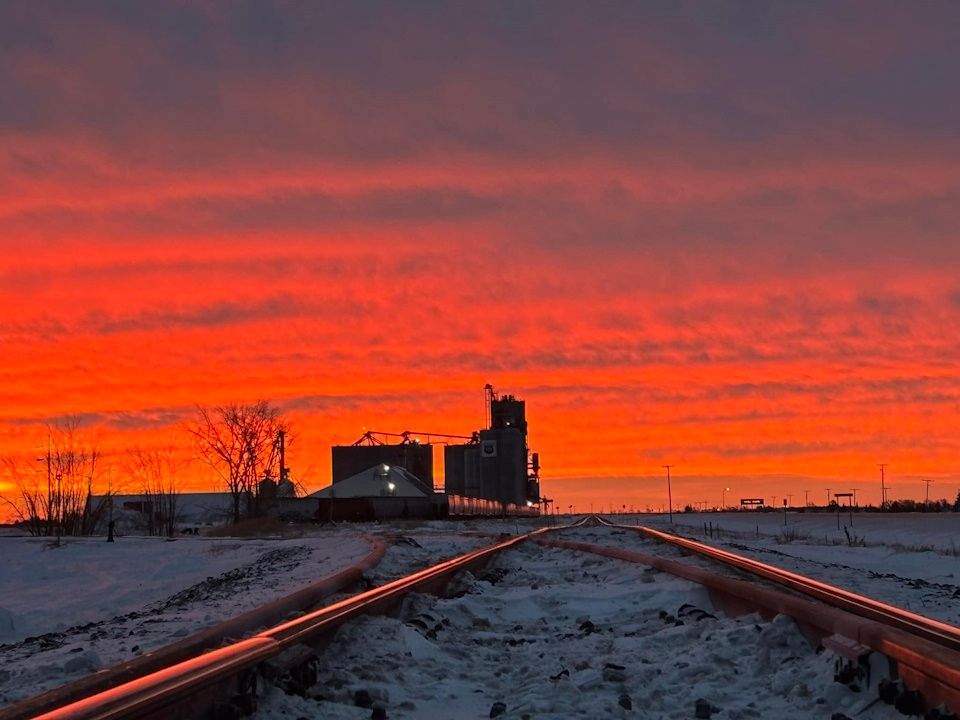 Mild weather, joy & cheer: photos of the week - DiscoverWeyburn.com ...