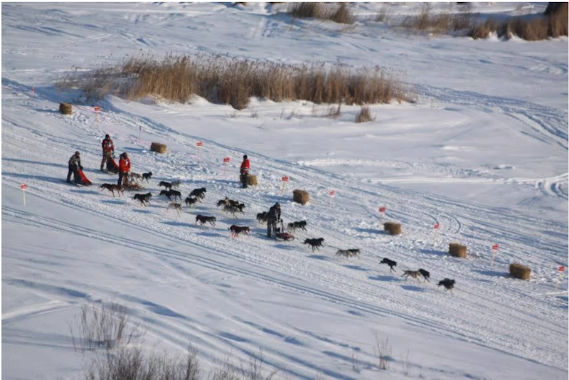 The Pas begins 79th Northern Manitoba Trappers’ Festival today ...