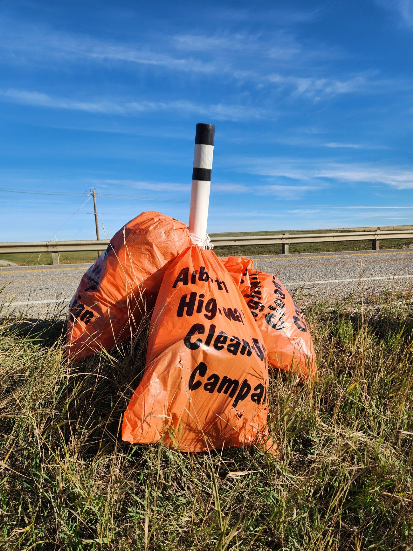 Small but mighty: Volunteer Airdrie tackles annual Adopt-a-Highway ...