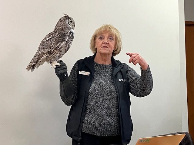Otis the owl turns 21 - CentralAlbertaOnline.com - Local news, Weather ...