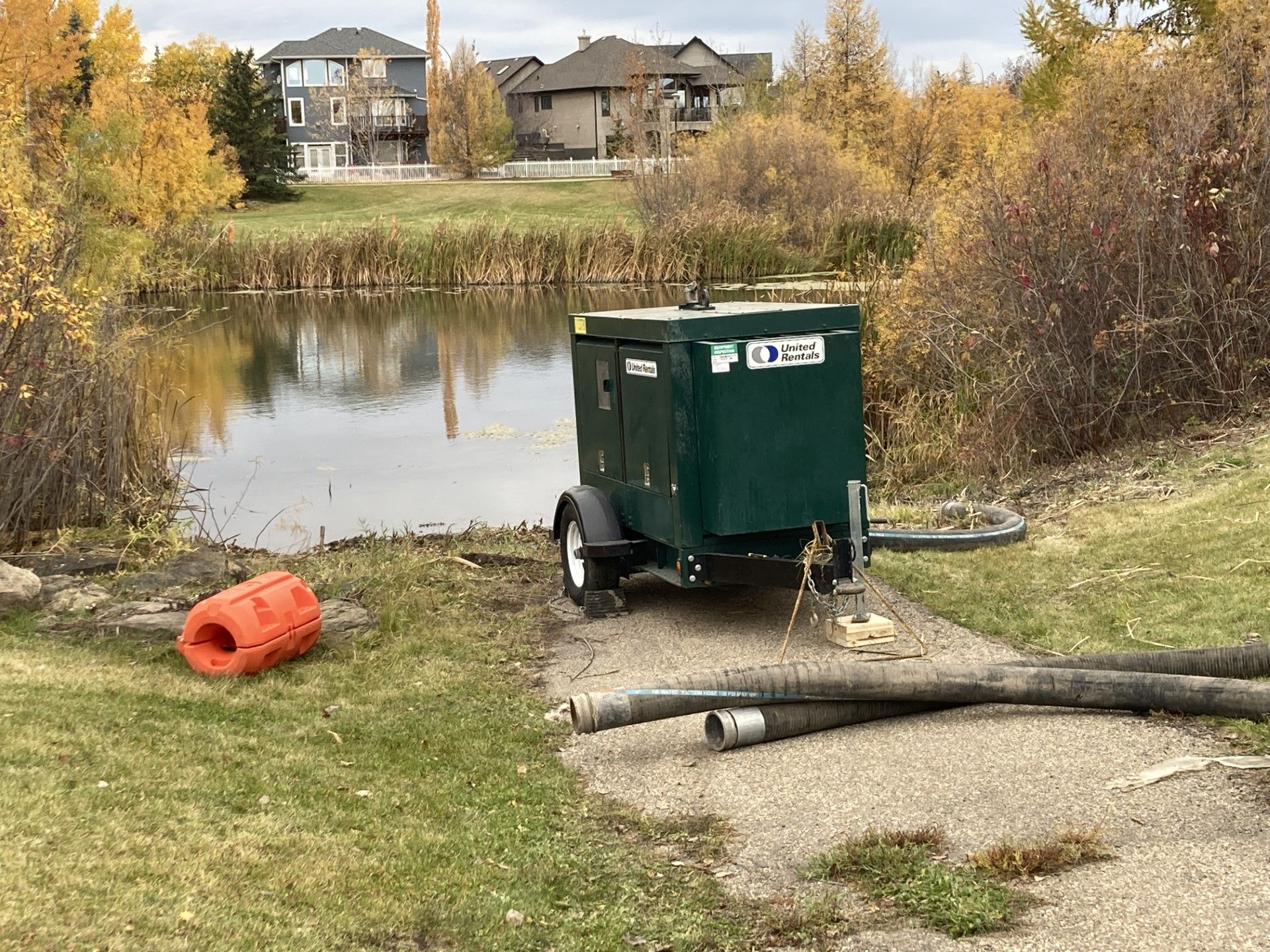 Sylvan Lake seeking approval to use powder pesticide for goldfish ...