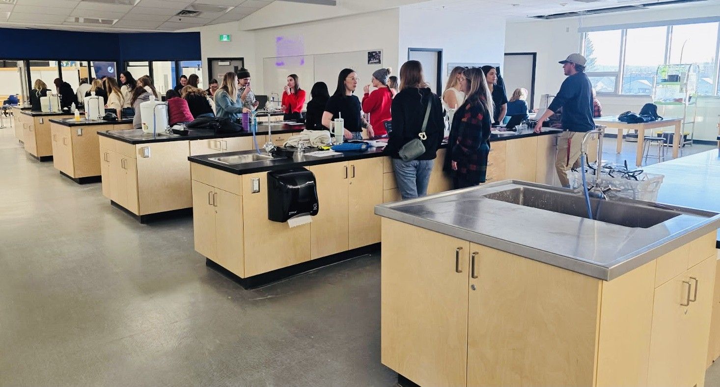 RDPS learning day to strengthen teaching across division ...