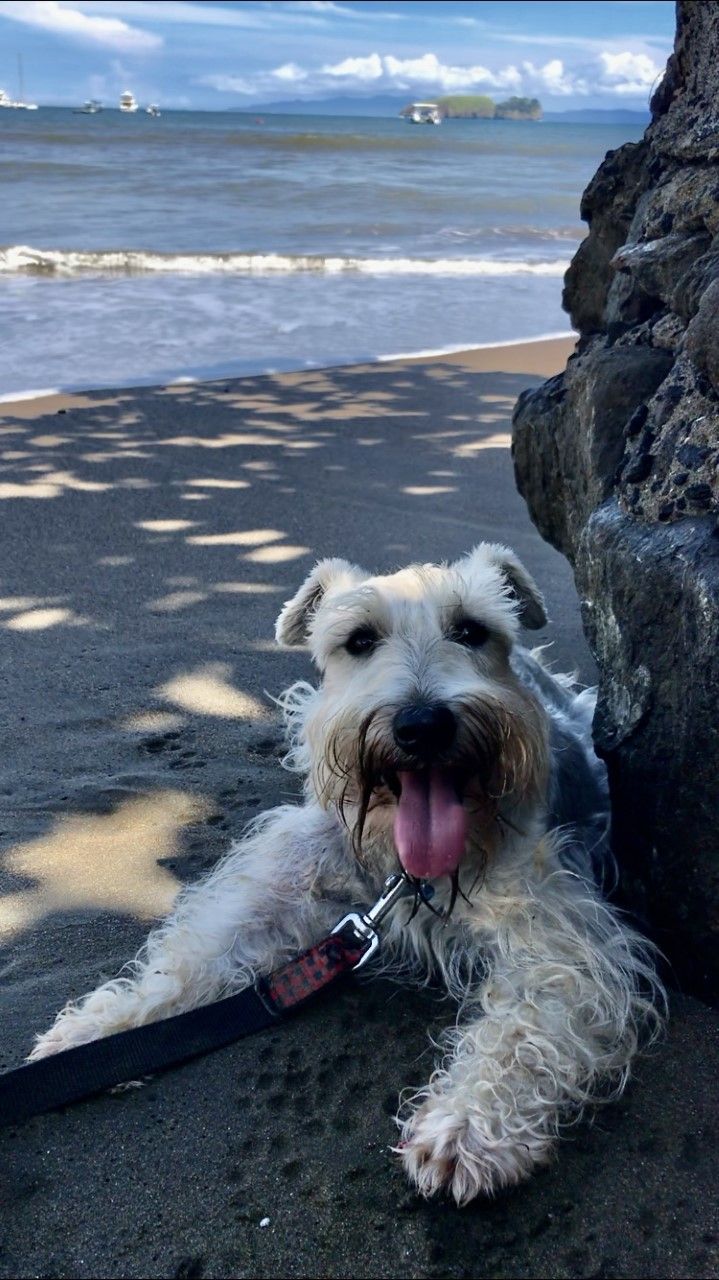 "Tito's Soft World": Weyburn's Jennifer LaCharite publishes a children ...