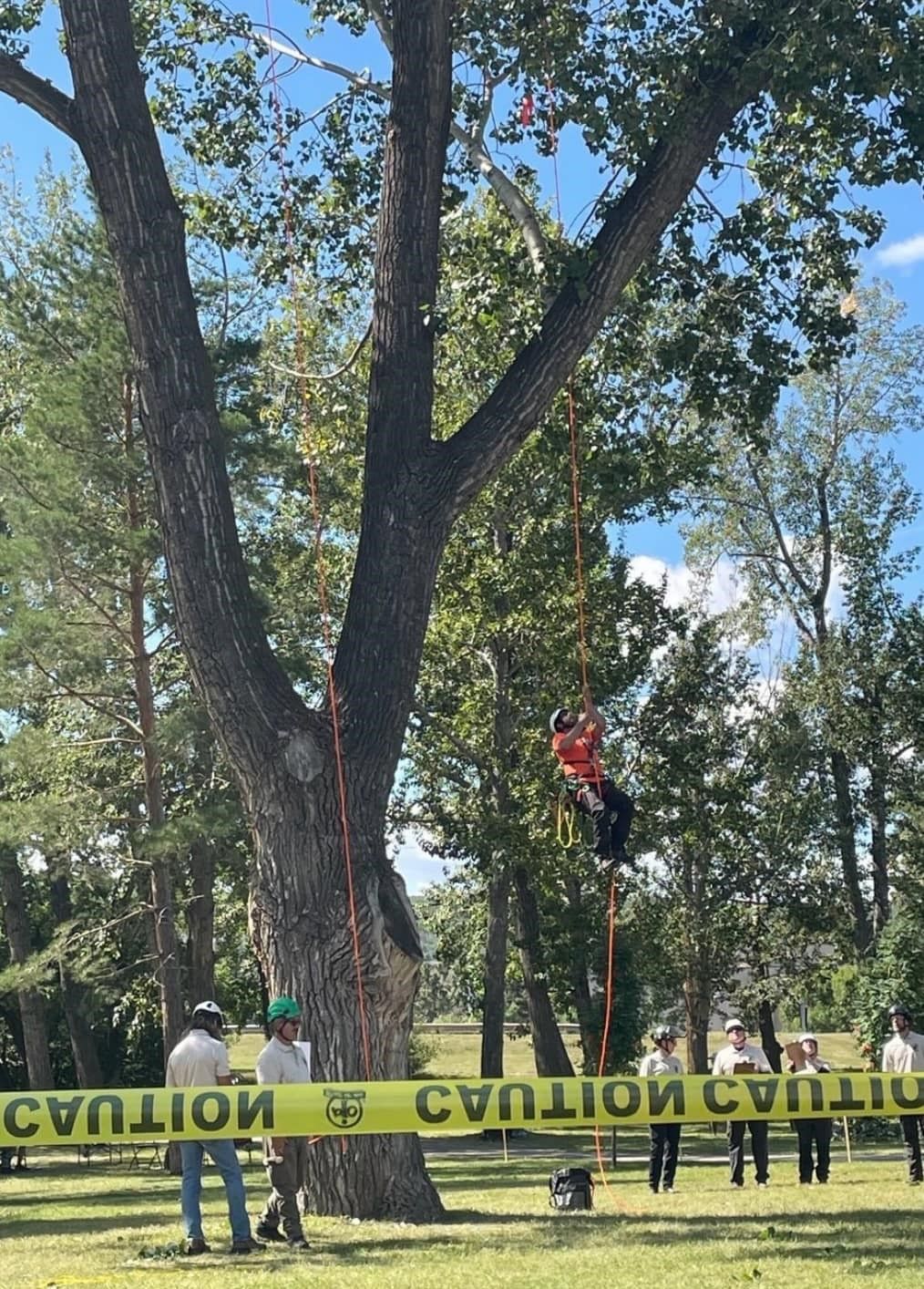Cochrane arborist wins big at tree climbing competition - CochraneNow ...