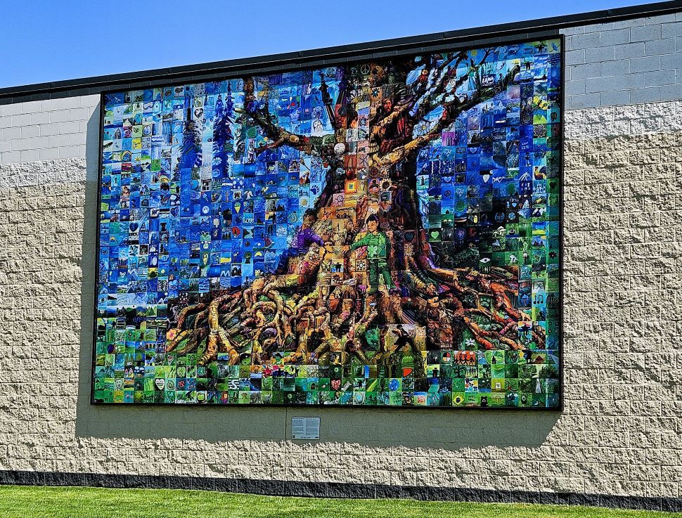 Cochrane's beloved Grandfather Tree is struggling - CochraneNow ...