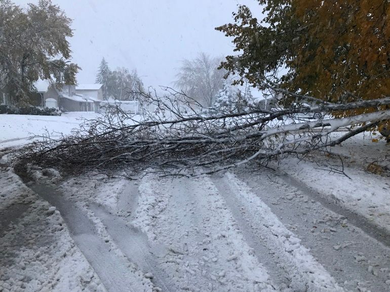 Five years since the unforgettable 2019 Thanksgiving snowstorm - PortageOnline.com - Local news ...