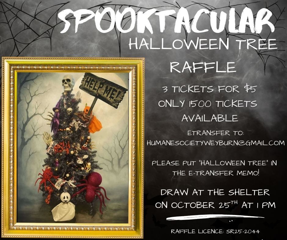 Spooky tree raffle fundraiser for Weyburn Humane Society ...