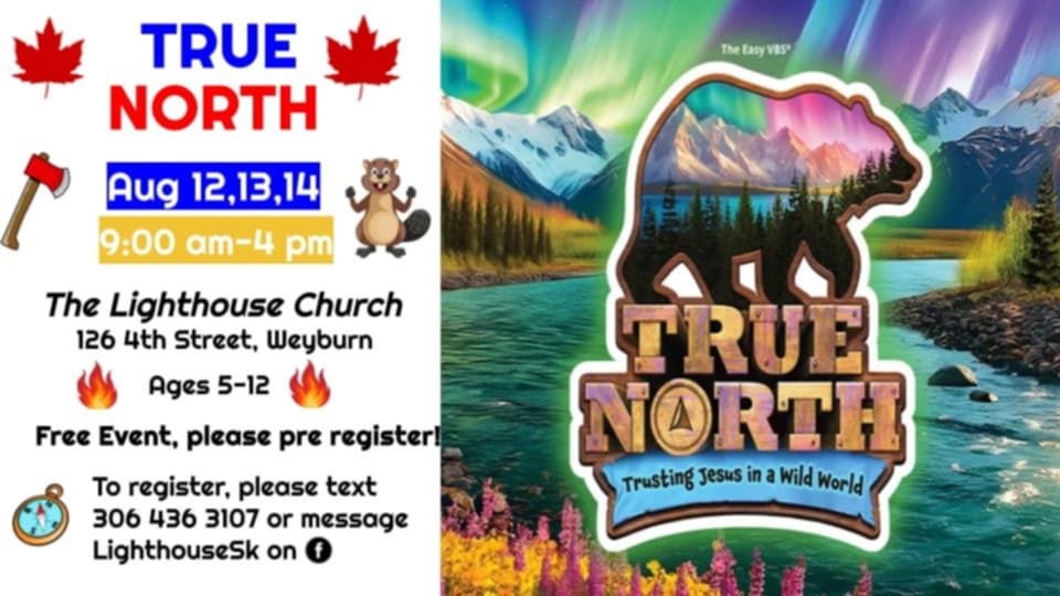'True North' wilderness-themed day camp coming to The Lighthouse ...
