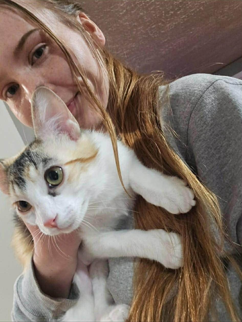 West Central Cat Care Program Foundation works to curb cat ...