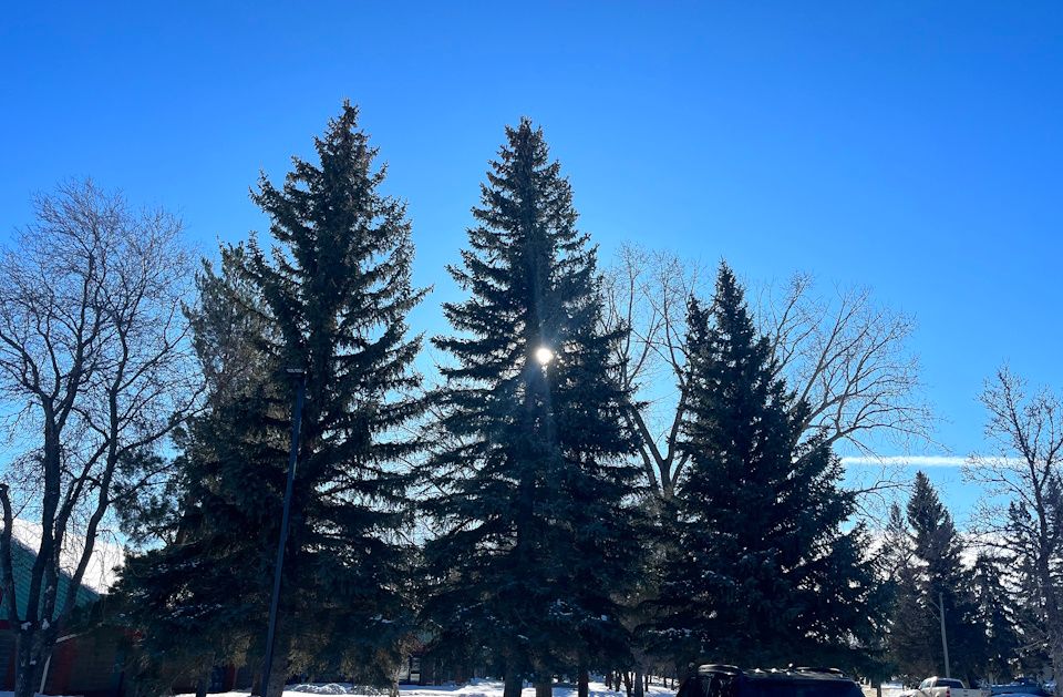 Inside, outside, up & down: Your Discover Weyburn Photos of the Week ...