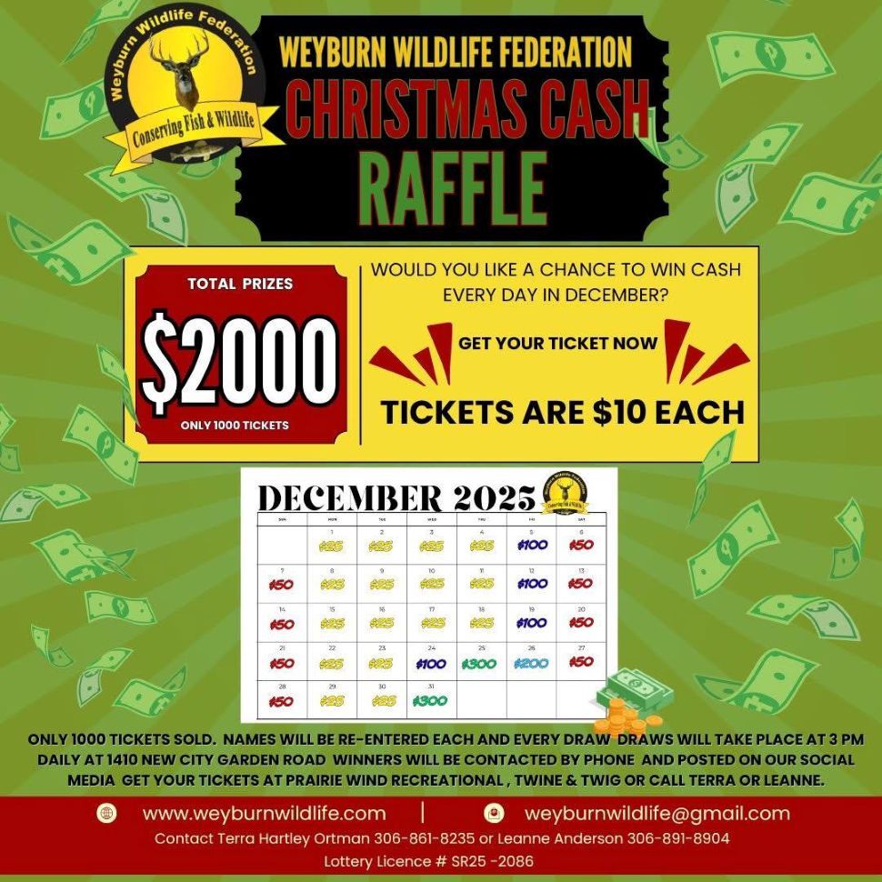 Stuff the stockings with cash with WWF's Christmas Cash Raffle ...